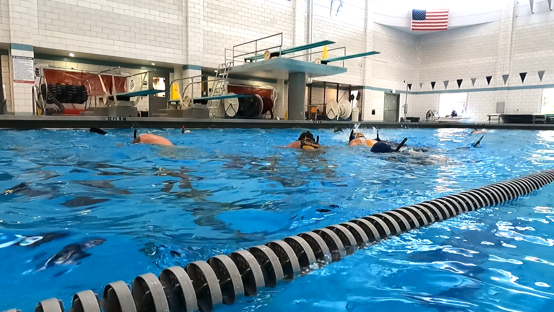 Something Completely Different: Underwater Rugby | WFSU Local Routes