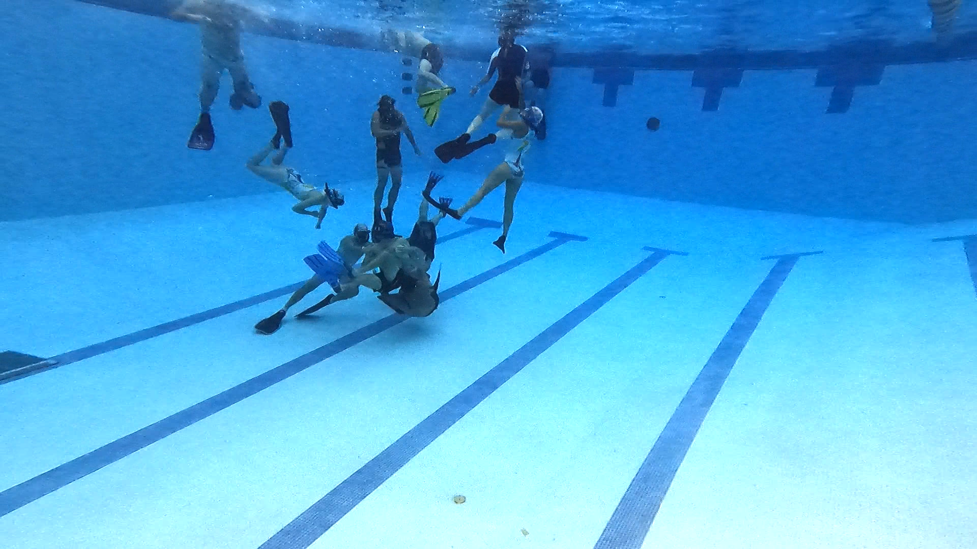 Something Completely Different: Underwater Rugby | WFSU Local Routes